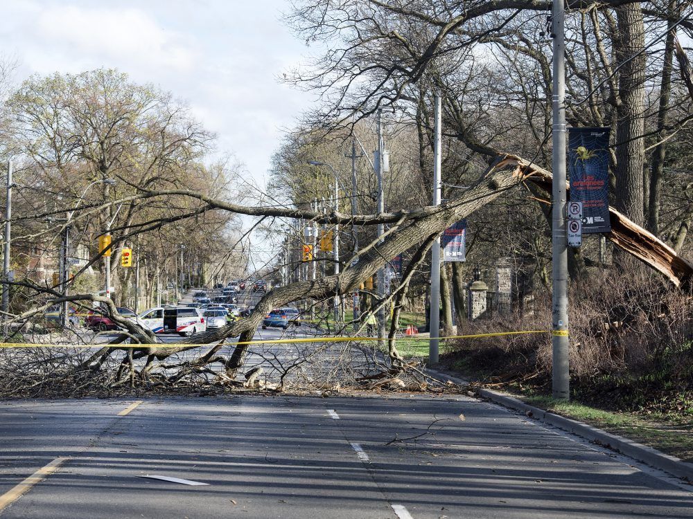 Third person dead, hundreds of thousands still without power after ...