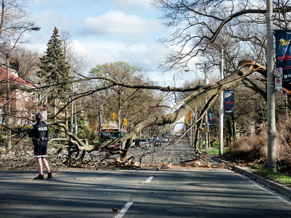 Violent wind storm in southern Ontario leaves one man killed by falling ...