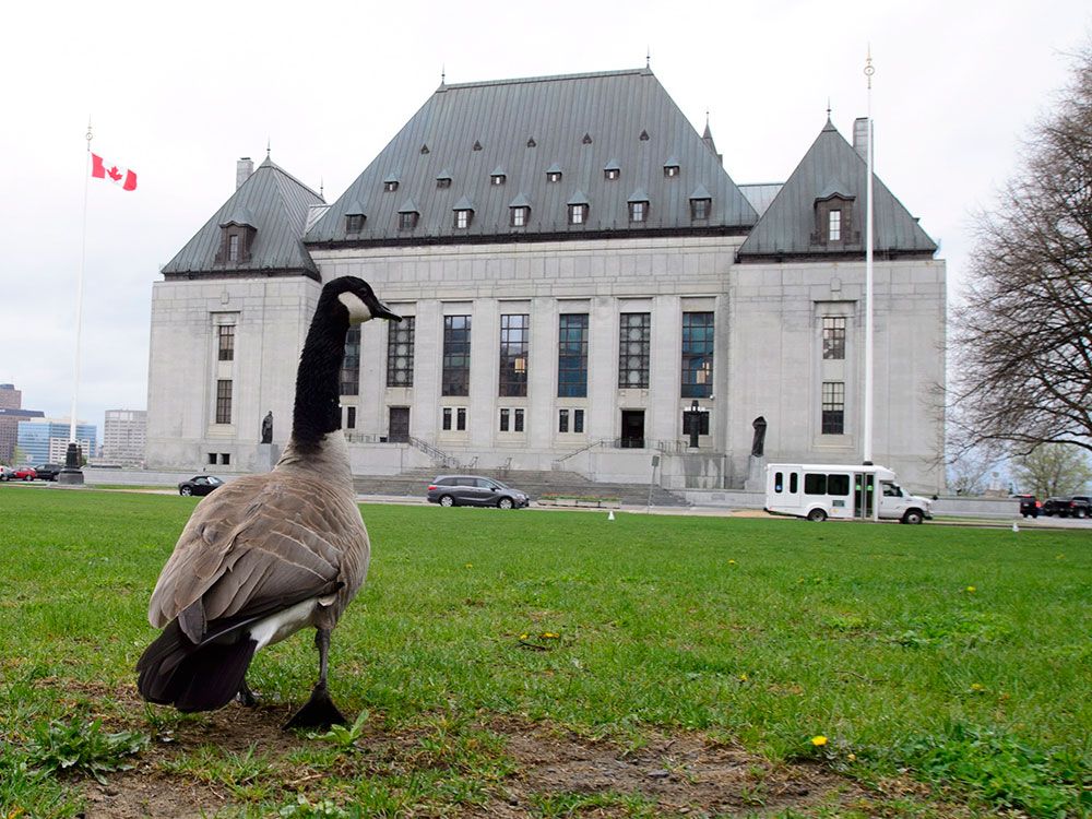 Colby Cosh: The Supreme Court solves a problem from Alberta, and ...