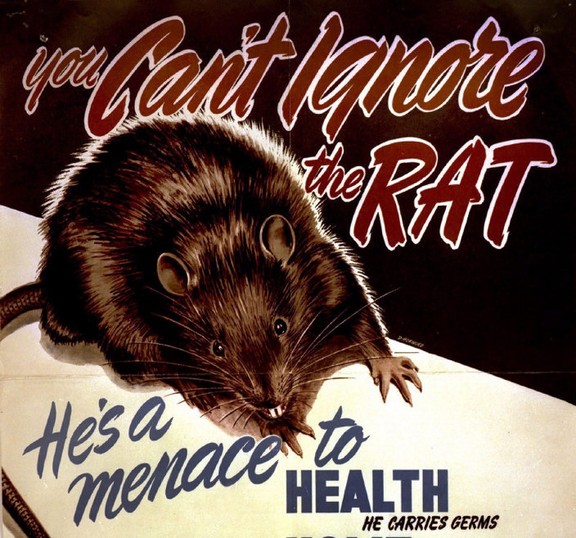 The stirring story of how Alberta became the first place in the world ...