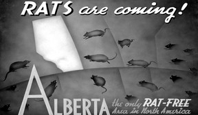 The stirring story of how Alberta became the first place in the world ...