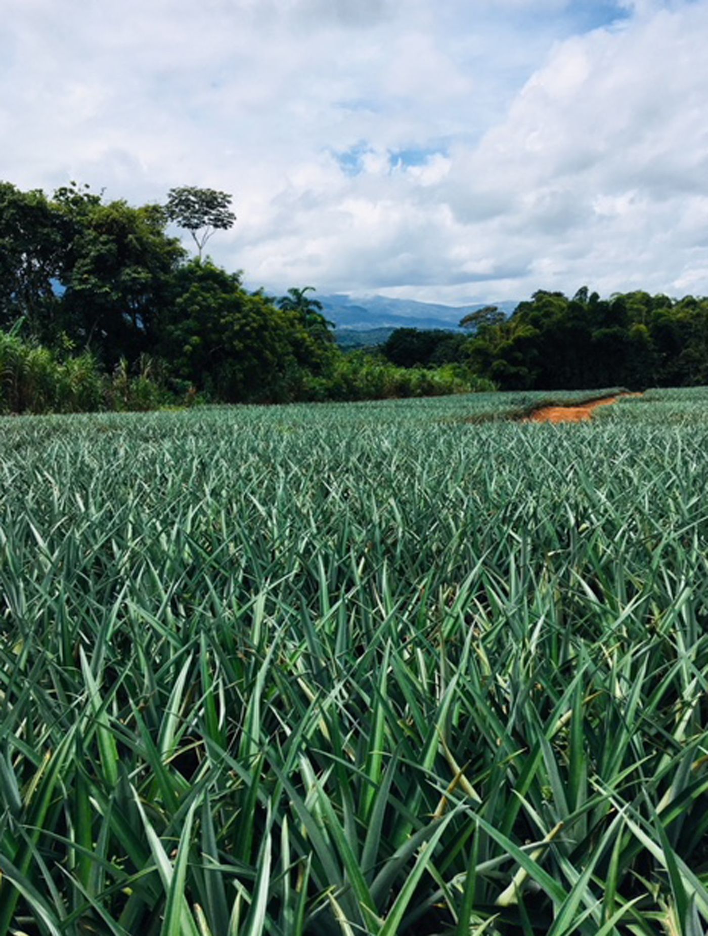Exploring the natural wonders of Costa Rica | National Post