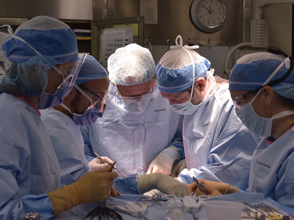 Canada's first face transplant | National Post