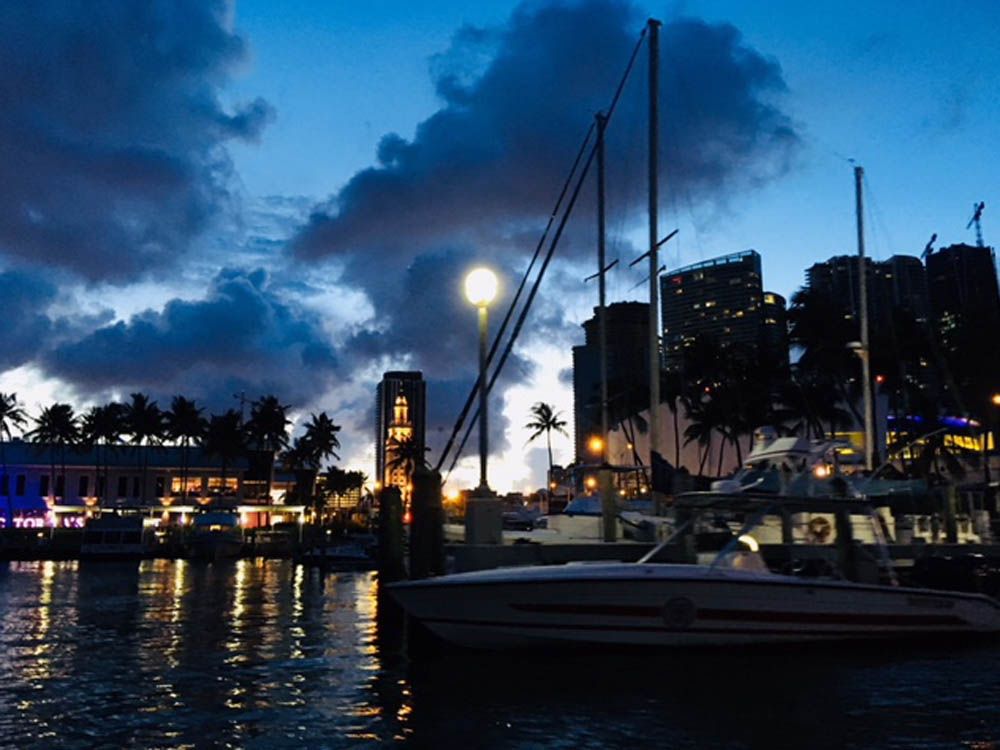 Miami's colourful playground of cool coastline, cutting-edge art and ...