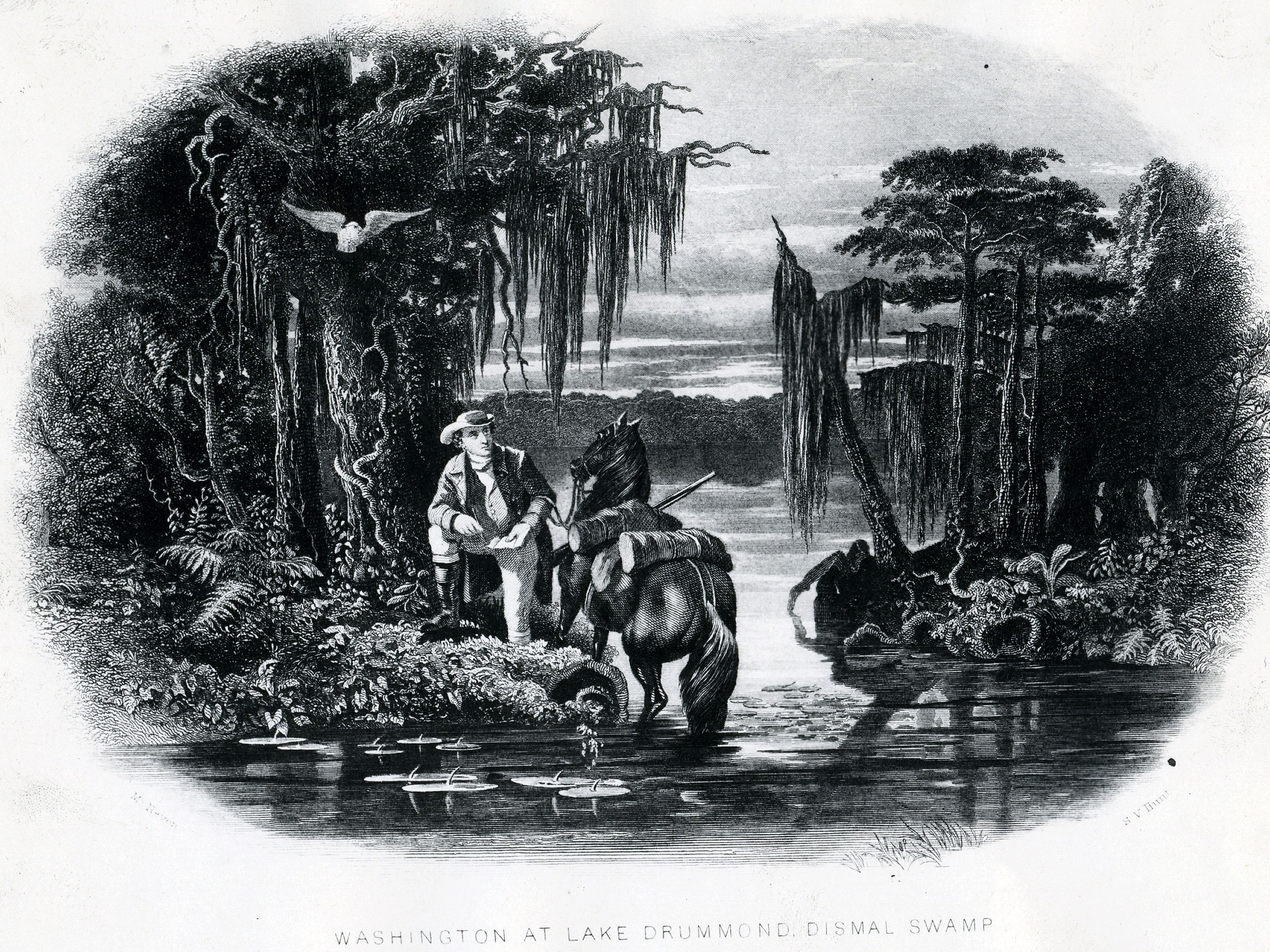 'Paradise of serpents': How runaway slaves lived in the Great Dismal ...