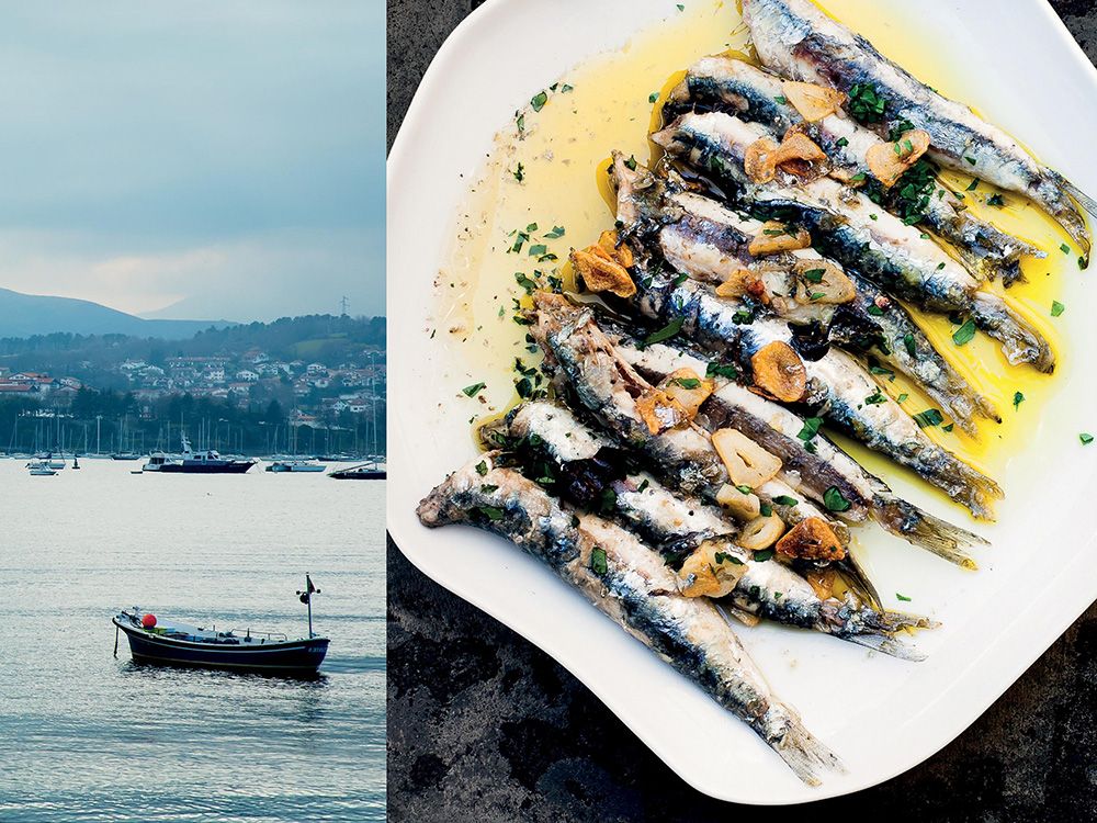 Basque Country: An insider's view on the foundations of one of Europe's ...