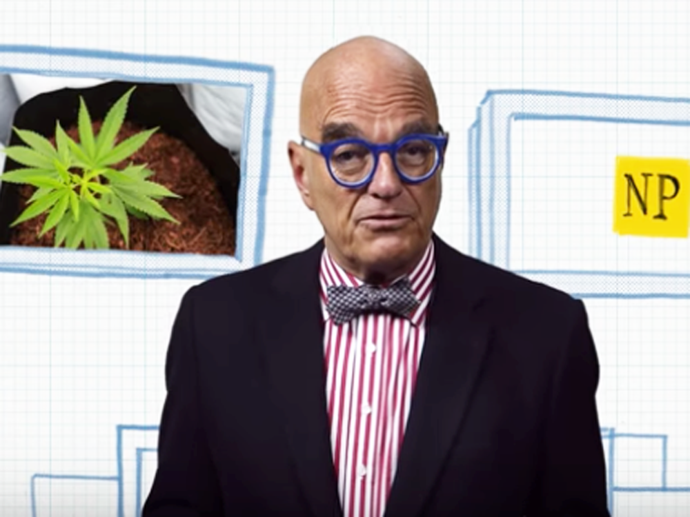 Stephen LeDrew: Let transit drivers smoke pot? Are you people high ...