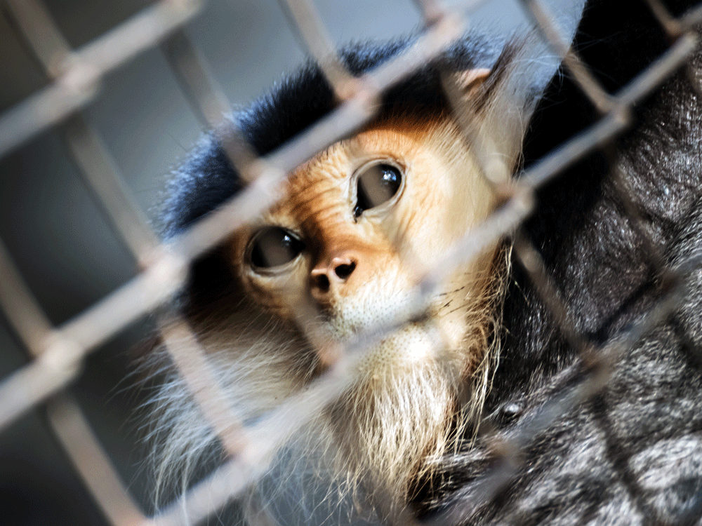 'It just really ethically scares me': Caution urged as scientists look ...