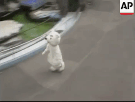 A Japanese zoo uses real people in animal costumes to practice escape ...