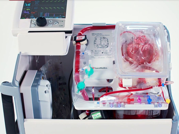 Canadian MDs to restart hearts of the recently dead as new source of ...