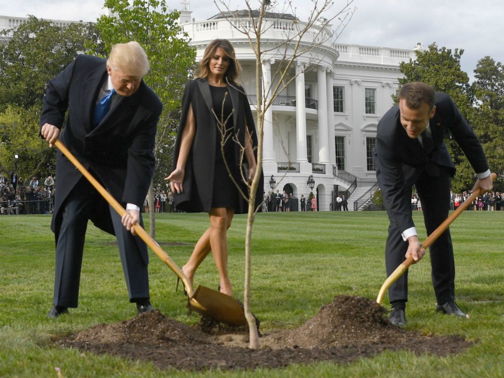Trump and Macron's figurative tree of friendship has withered and died ...