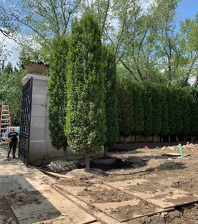 City lets Drake build fences twice as high as set out in bylaws, due to ...