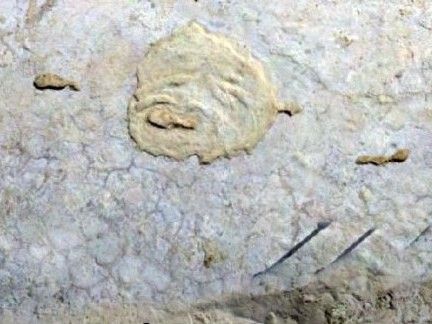 Researchers using 3D radar find ‘ghost’ footprint of human who stepped ...