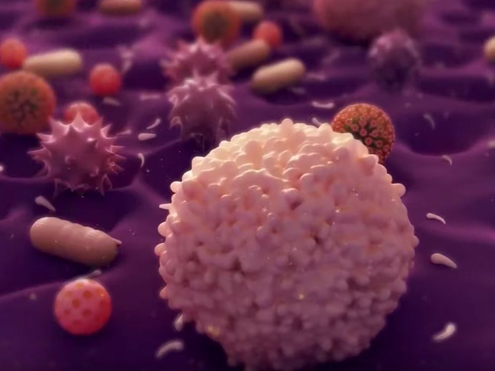 Could cancer and diabetes be transferred through microbes? | National Post