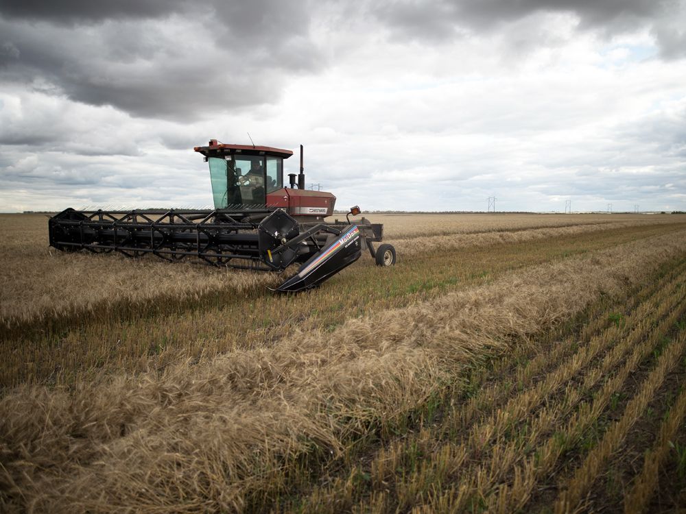 Give farmers a carbon tax break after 'harvest from hell': Green Party ...