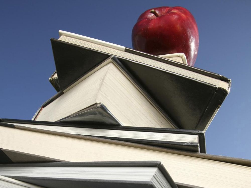 Barbara Kay: An eye-opening tale of two school systems during the COVID ...