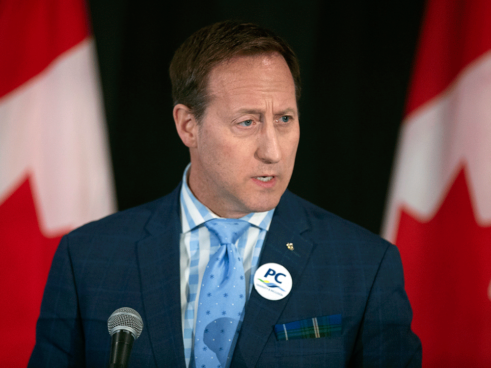 Peter MacKay pitches temporary elimination of GST for restaurants ...