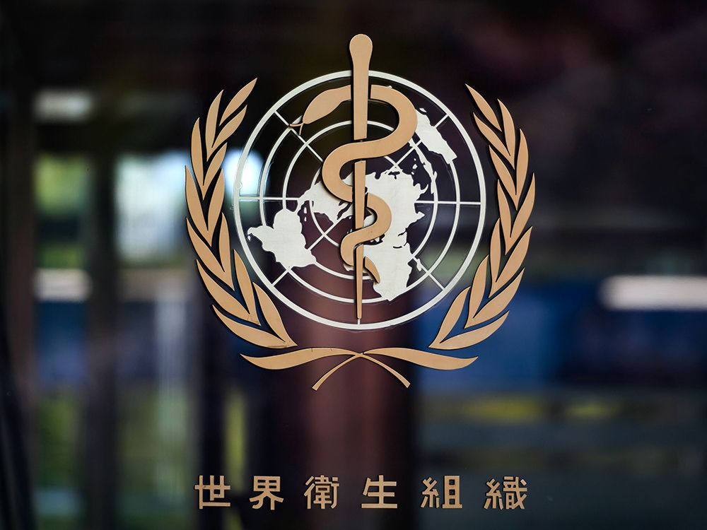 Terry Glavin on China, COVID-19 and the WHO: What is the Trudeau ... Terry Glavin on China, COVID-19 and the WHO: What is the Trudeau ...