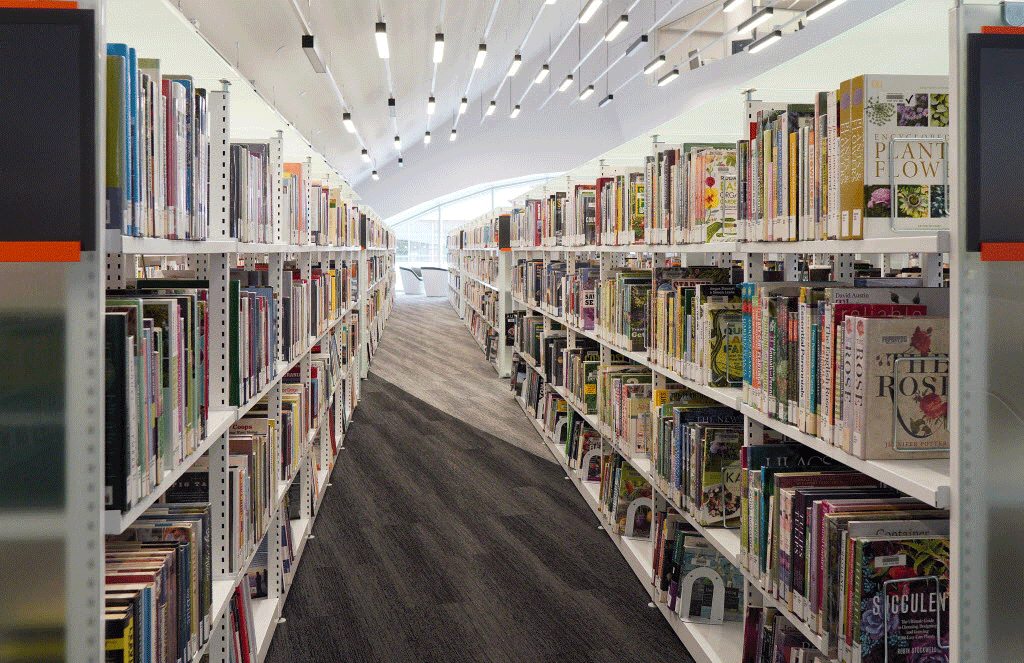 Renovated Edmonton library mocked for its 'dumpster' look, reopens to ...