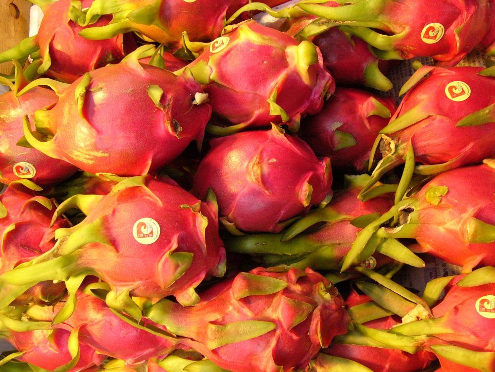 Indian PM's home state changes name of dragon fruit because it's ...