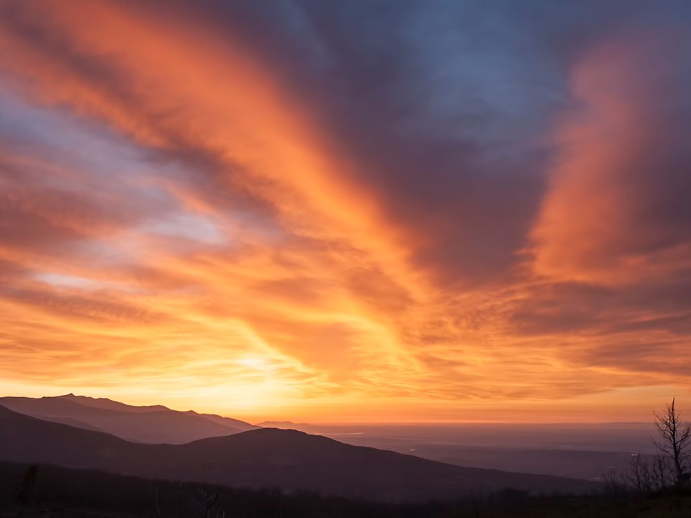 Barbara Kay: Finding hope in the unlikeliest ways | National Post