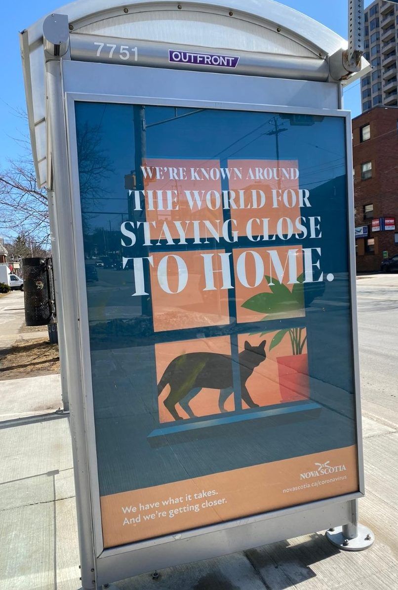 Keep shtum: COVID-shaming is highest in the Maritimes, professor says ...