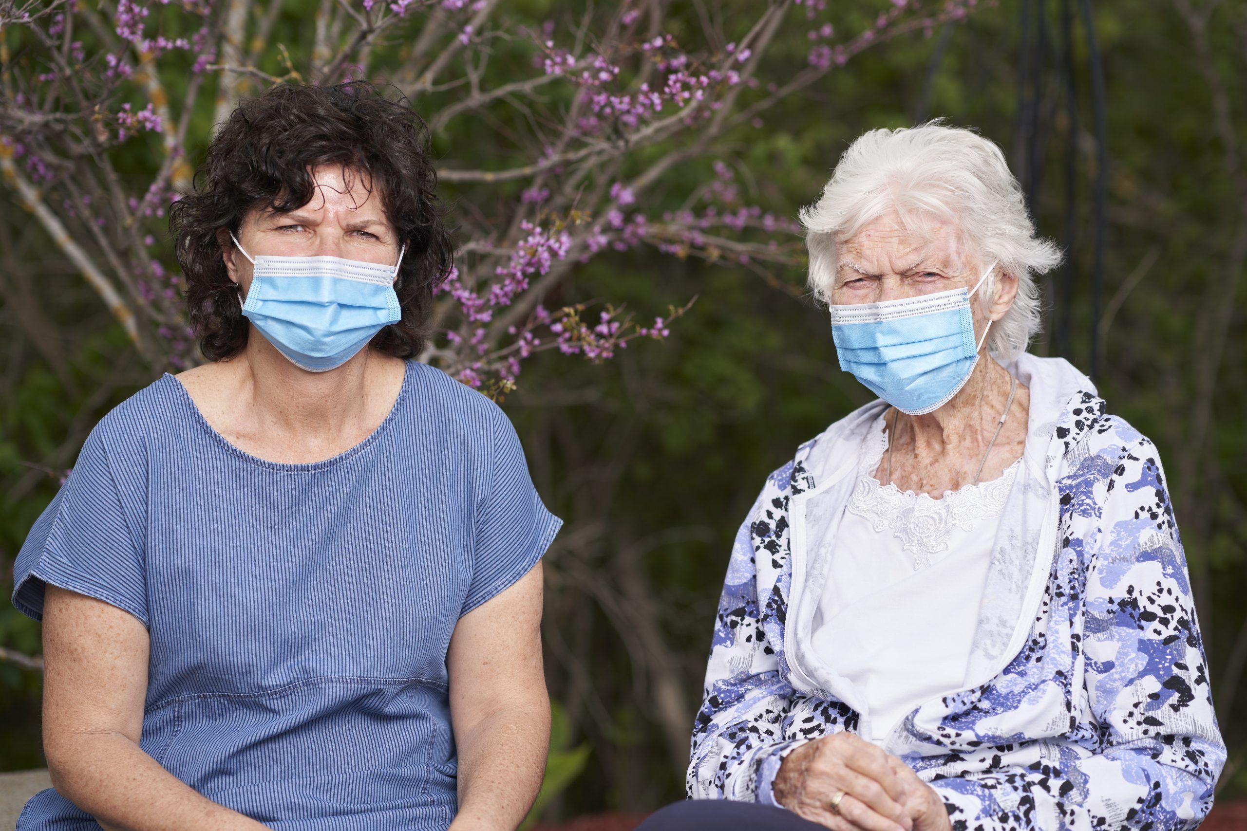 How smartphone-connected pacemaker provides family caregivers with ...