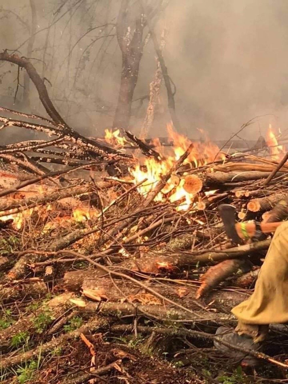 Portrait of a First Nation firefighter | National Post
