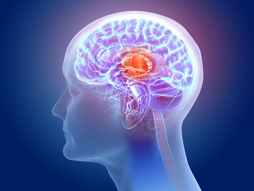 Colby Cosh: Yet another famous psychology study turns out to be pure ...