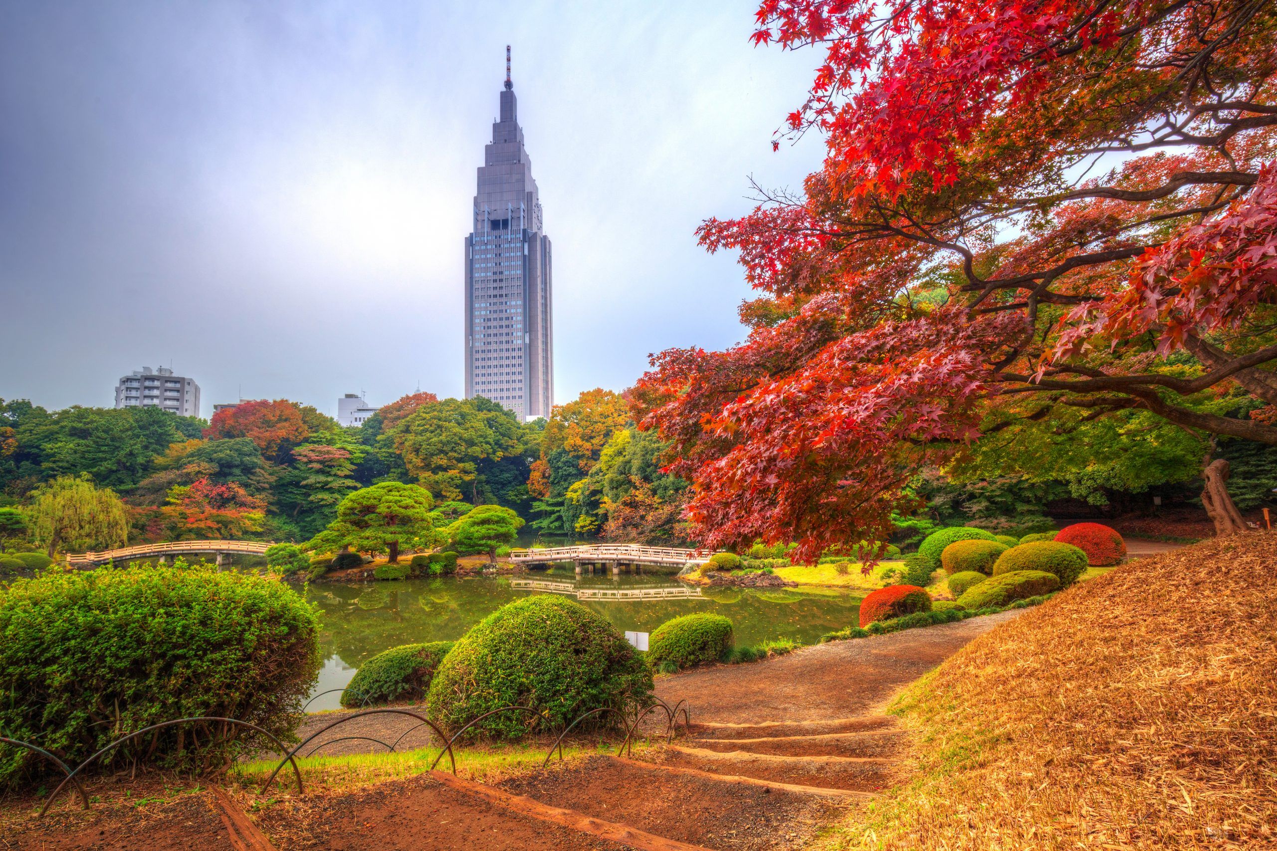 Travel back in time with Tokyo’s traditional green spaces | National Post