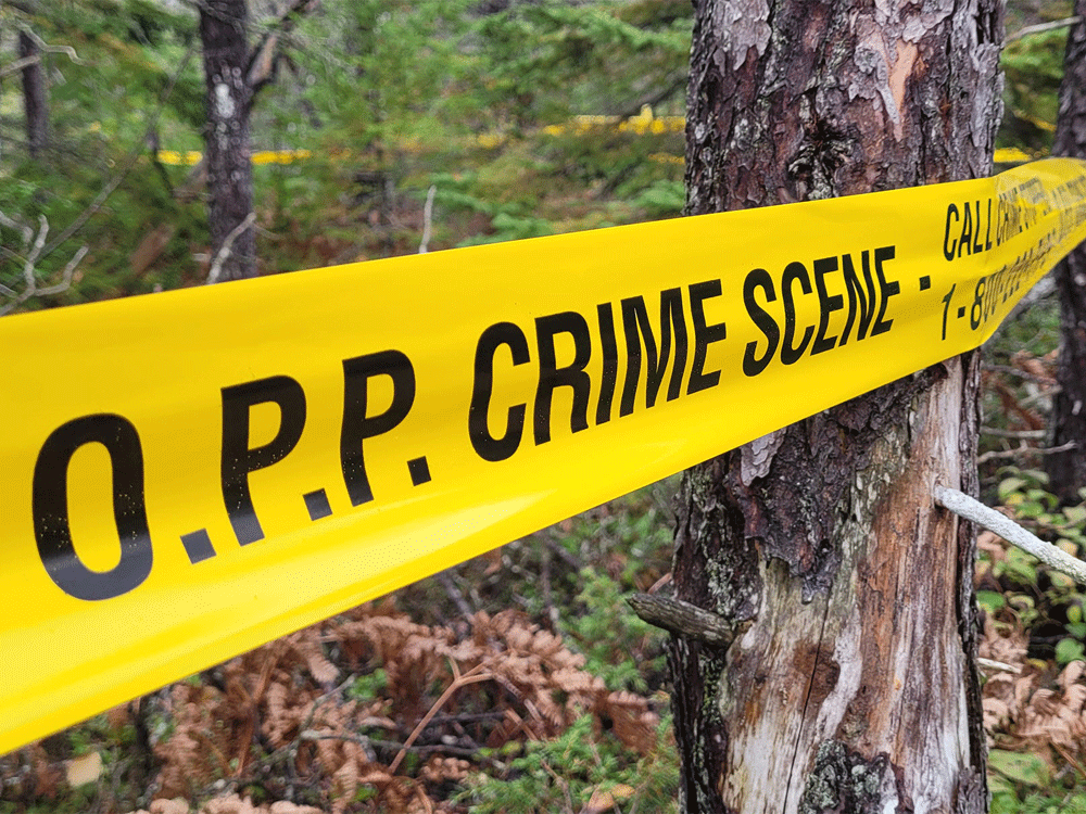 OPP was short 1,000 frontline officers in 2020, leading to fewer ...