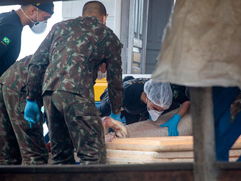 Backpack of journalist missing in Amazon found lashed to half-submerged ...