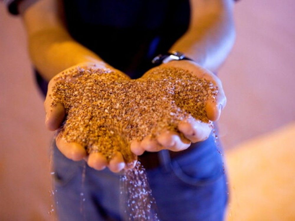 Farmers around the world now depend on Canadian potash: Freeland ...