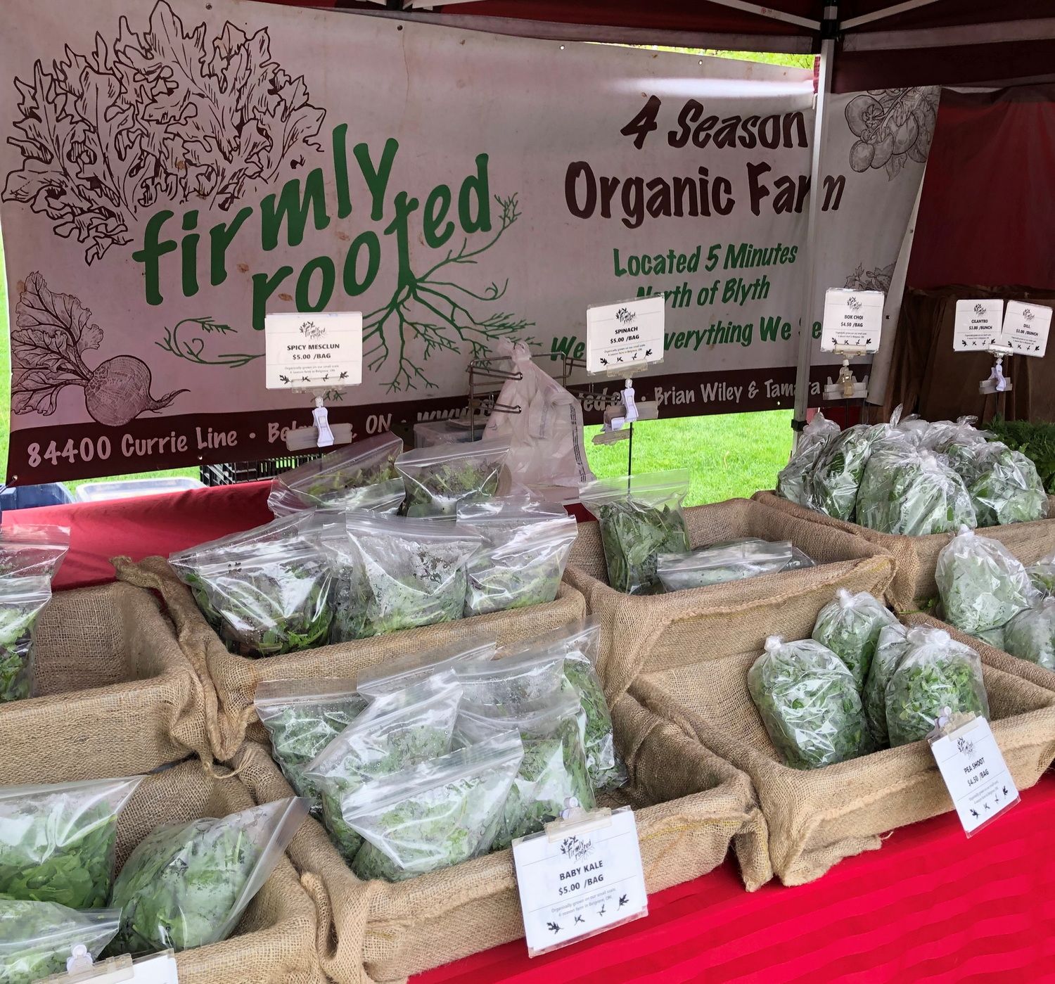 Forget April in Paris; try late August in Goderich instead | National Post