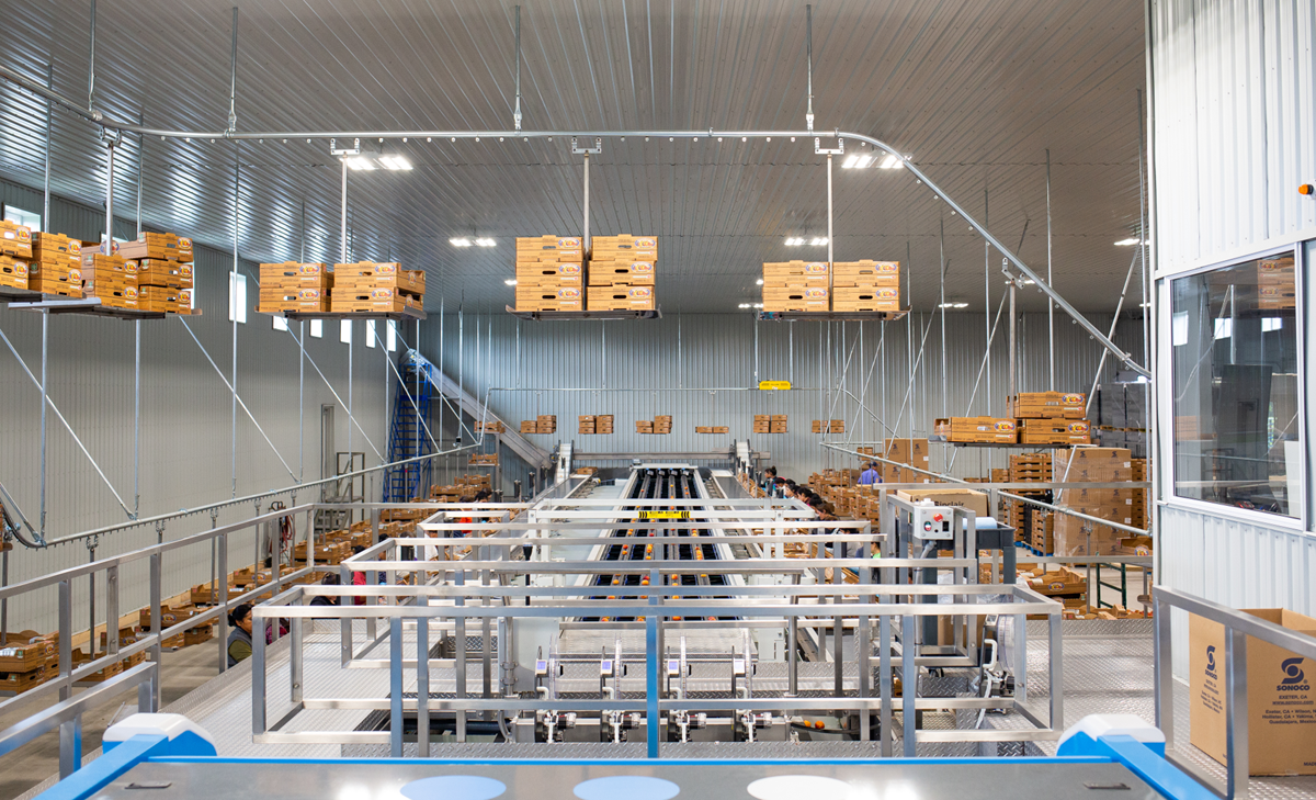 Sustainable food production at the core of Ontario’s tender fruit ...