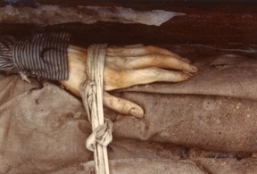 The Arctic zombies: Terrifying true stories from Canadian history ...