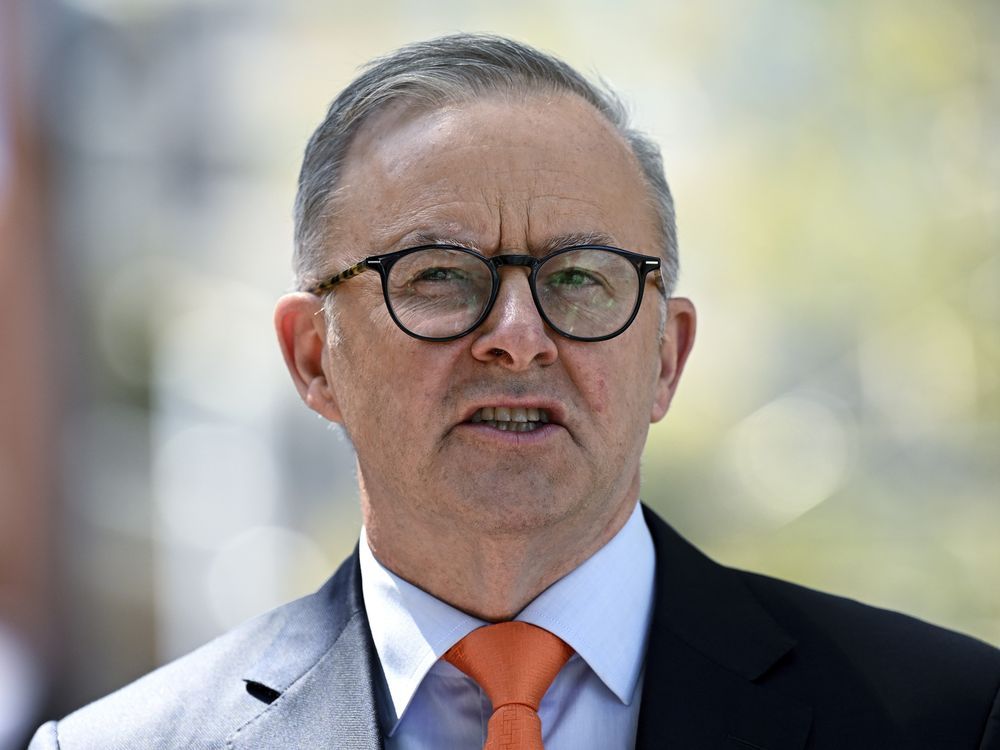 Seventeen Australian women and children return from Syrian camp | National Post