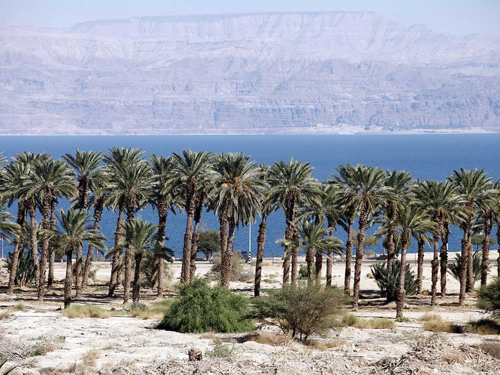 75 reasons to celebrate Israel on its 75th birthday | National Post