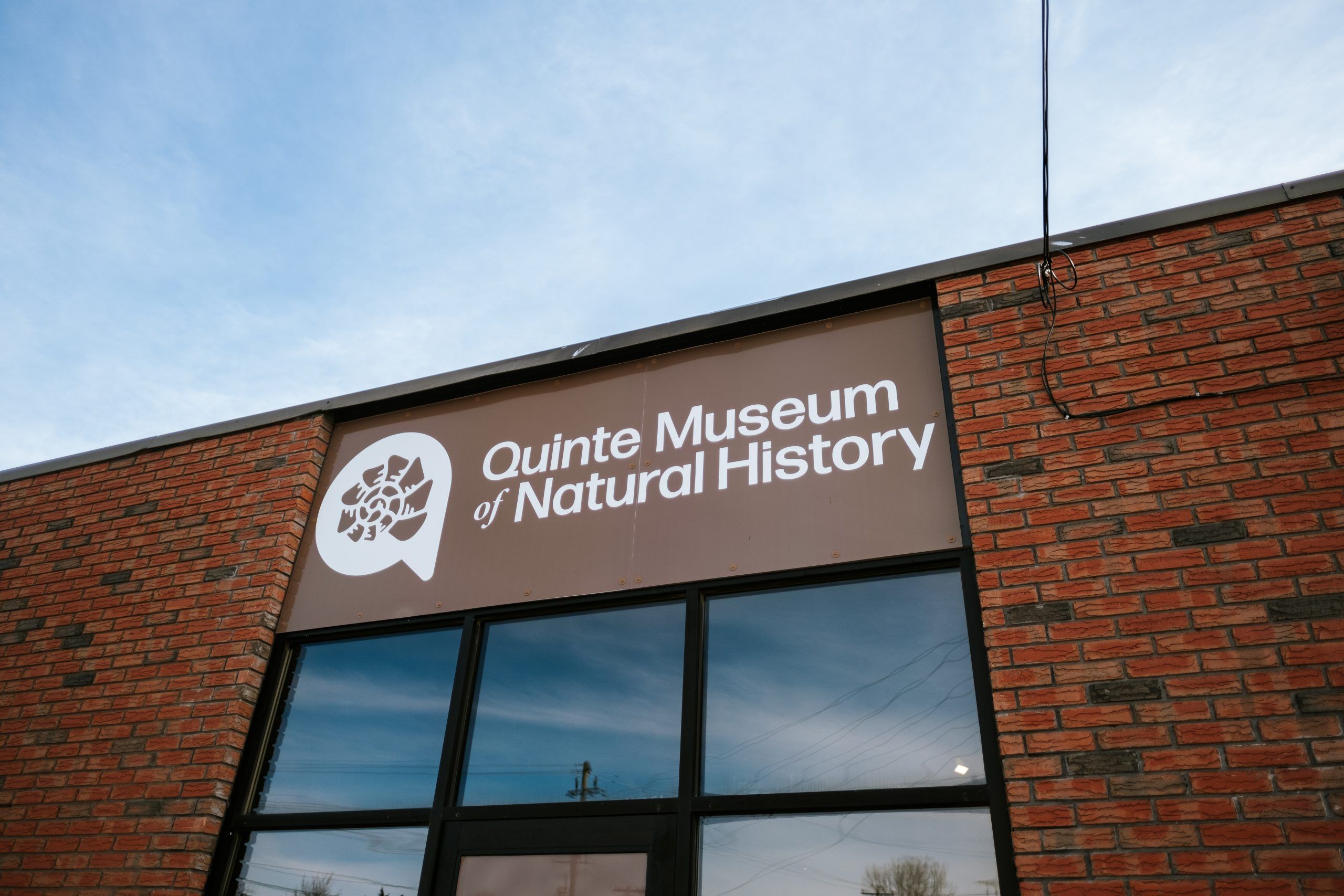 Dive into the world of whales at the Quinte Museum of Natural History ...