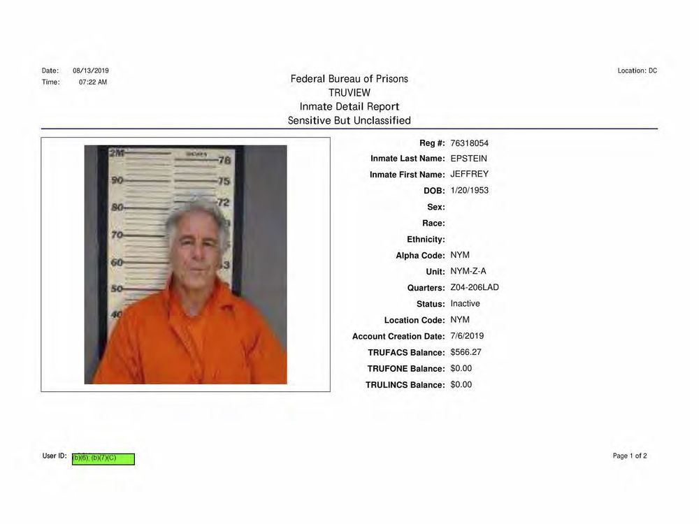 Epstein said it 'would be crazy' to take his own life, document shows ...