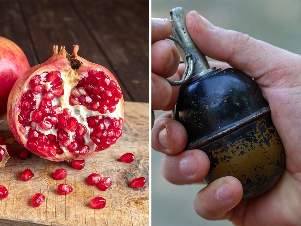 Tourist mistranslates 'pomegranate,' prompting bomb threat response ...