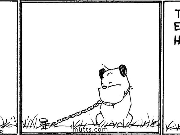 Breaking the chains: Creator of comic strip 'Mutts' frees his Guard Dog ...