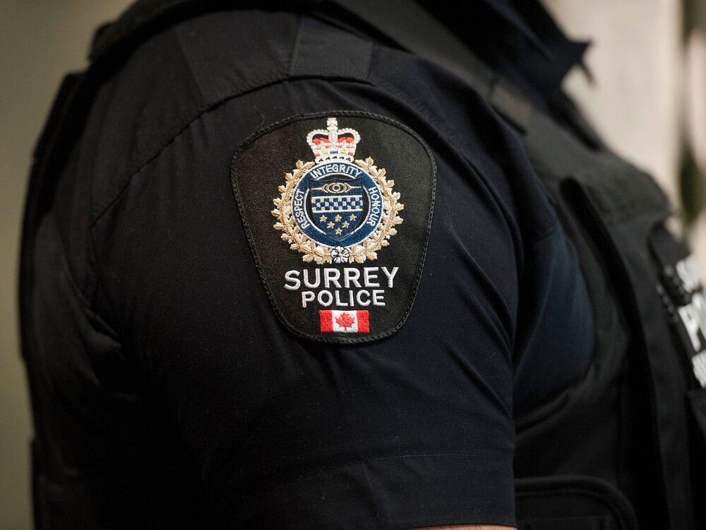 B.C. suspends Surrey police board, Brenda Locke out as chair ...