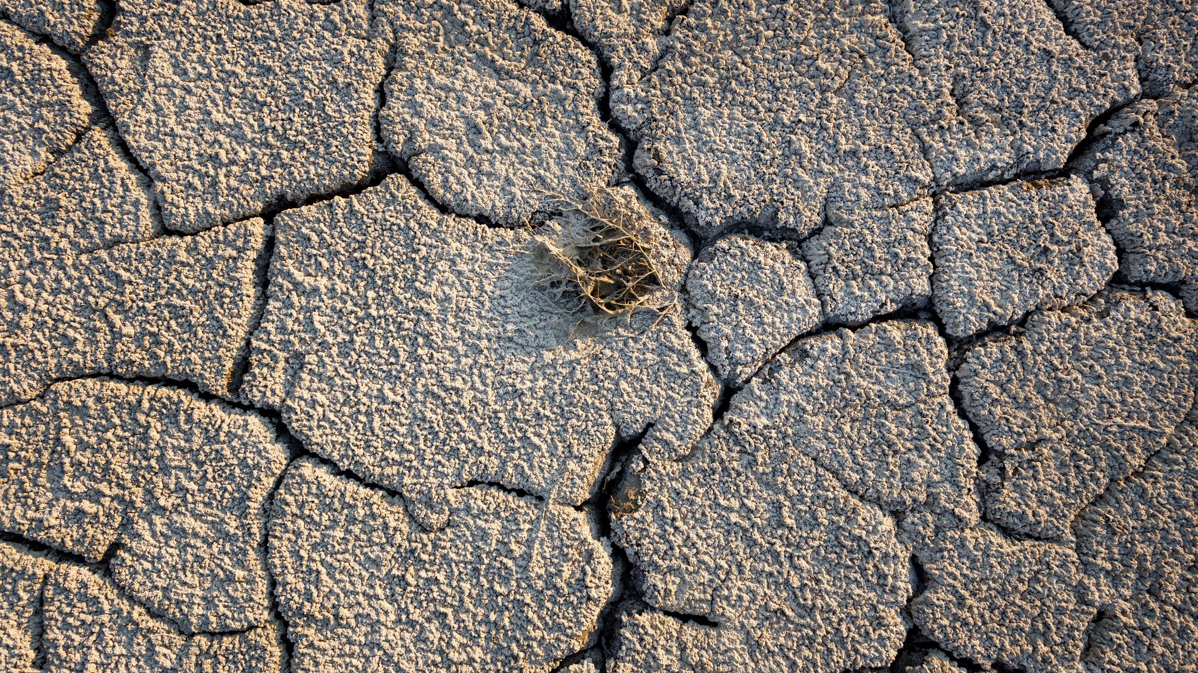 Alberta drought could be worse than in the 1920s, 1930s | National Post