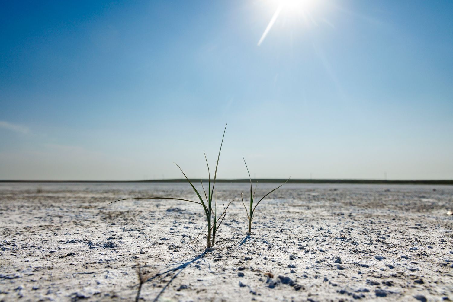 Alberta drought could be worse than in the 1920s, 1930s | National Post