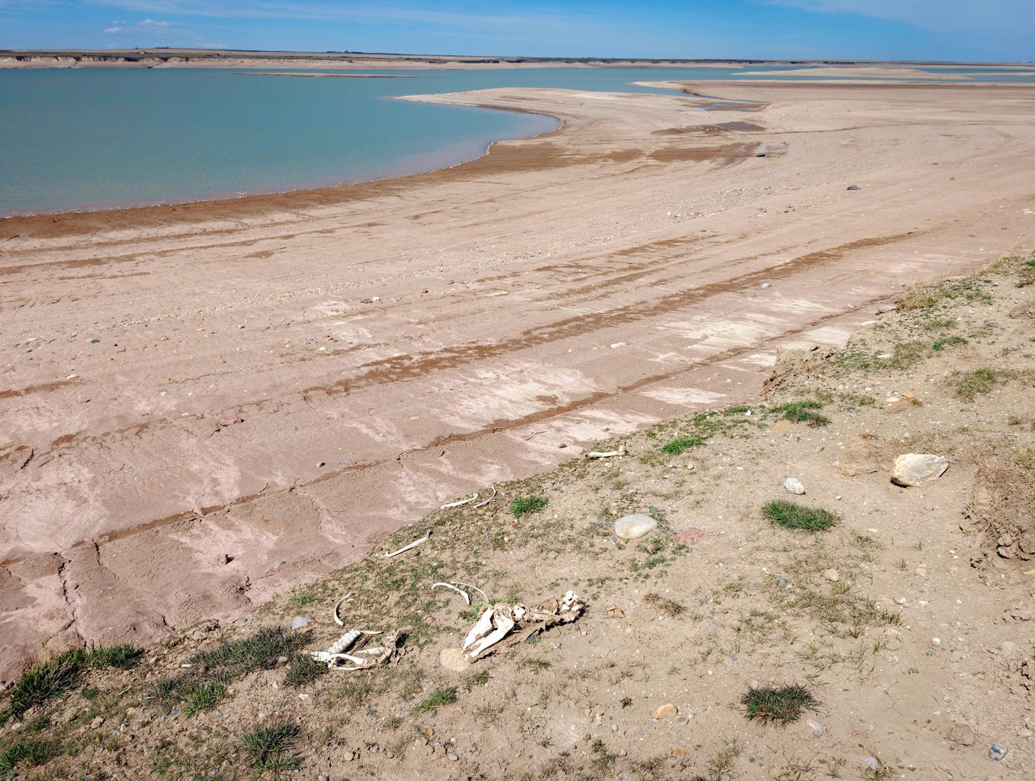 Alberta drought could be worse than in the 1920s, 1930s | National Post