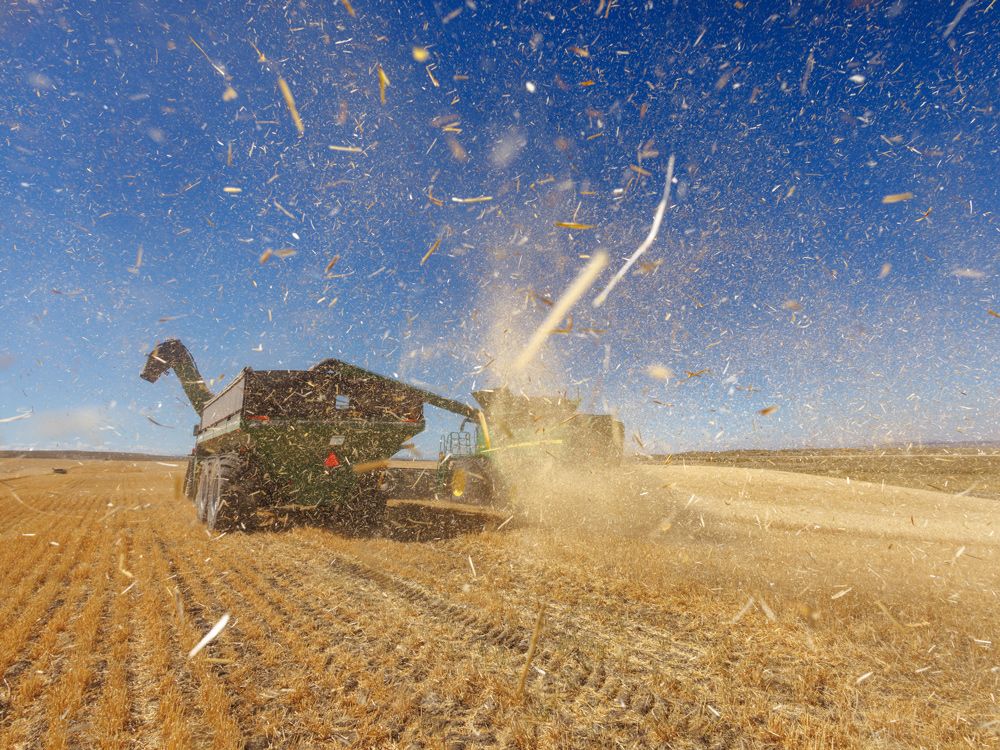 Alberta drought could be worse than in the 1920s, 1930s | National Post