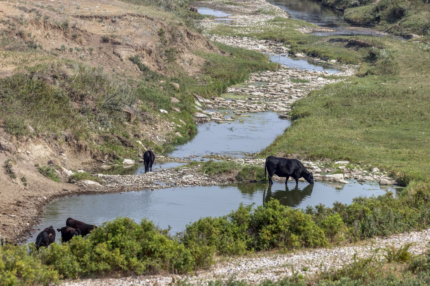 Alberta drought could be worse than in the 1920s, 1930s | National Post