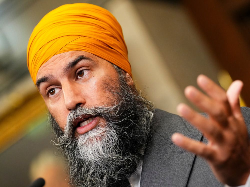 Ancient Indigenous forest gardens still yield bounty 150 years later ...