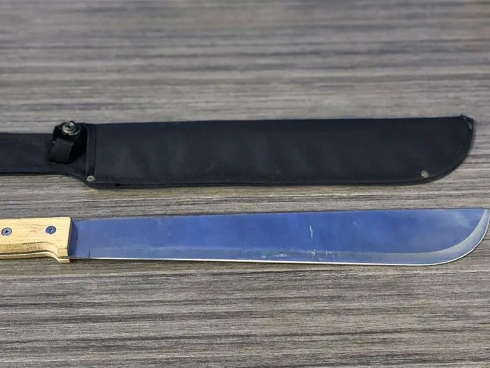 Teen Trump supporter threatens Harris supporters with machete | National Post